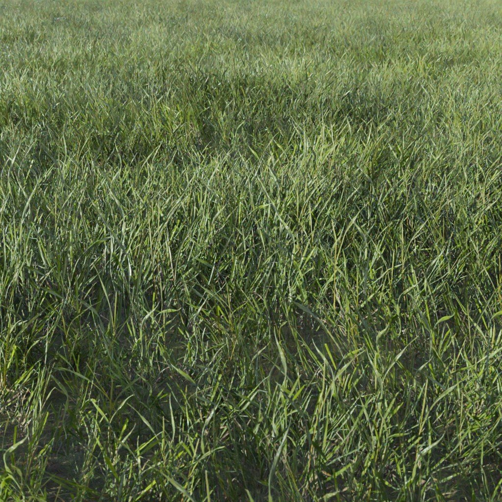 Grass Generic Small Cluster | Grass models | BlenderKit