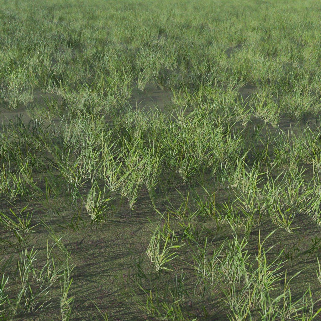 Grass Generic Small Patch | Grass models | BlenderKit