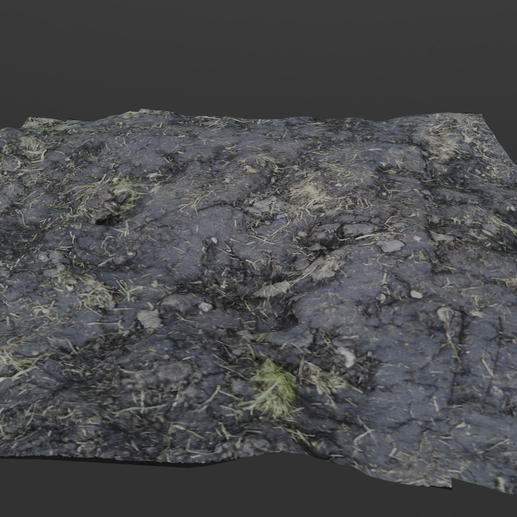 Patch of Photoscanned Dirt | FREE Environment Elements models | BlenderKit