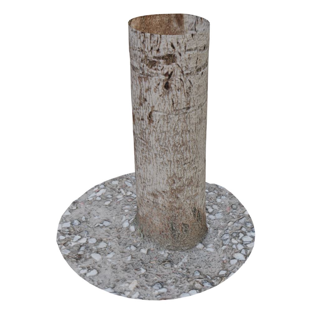 Tree trunk | Trees models | BlenderKit