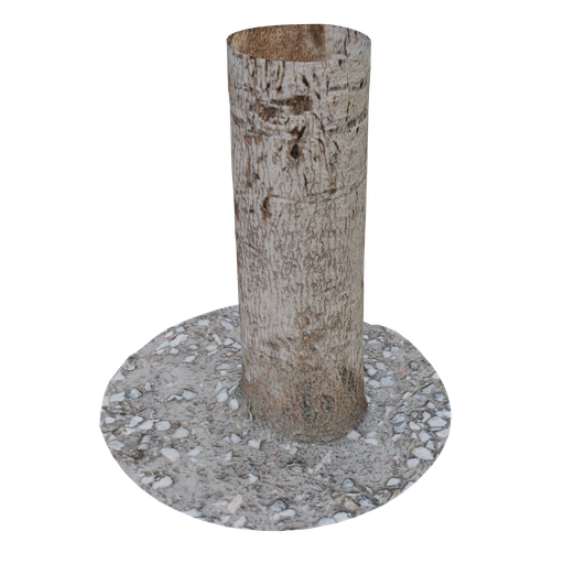 Tree trunk | Trees models | BlenderKit