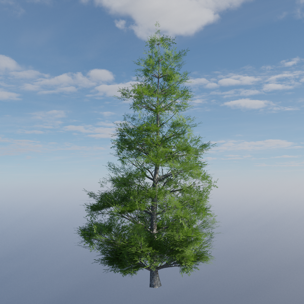 Evergreen tree 3 medium size | Trees models | BlenderKit