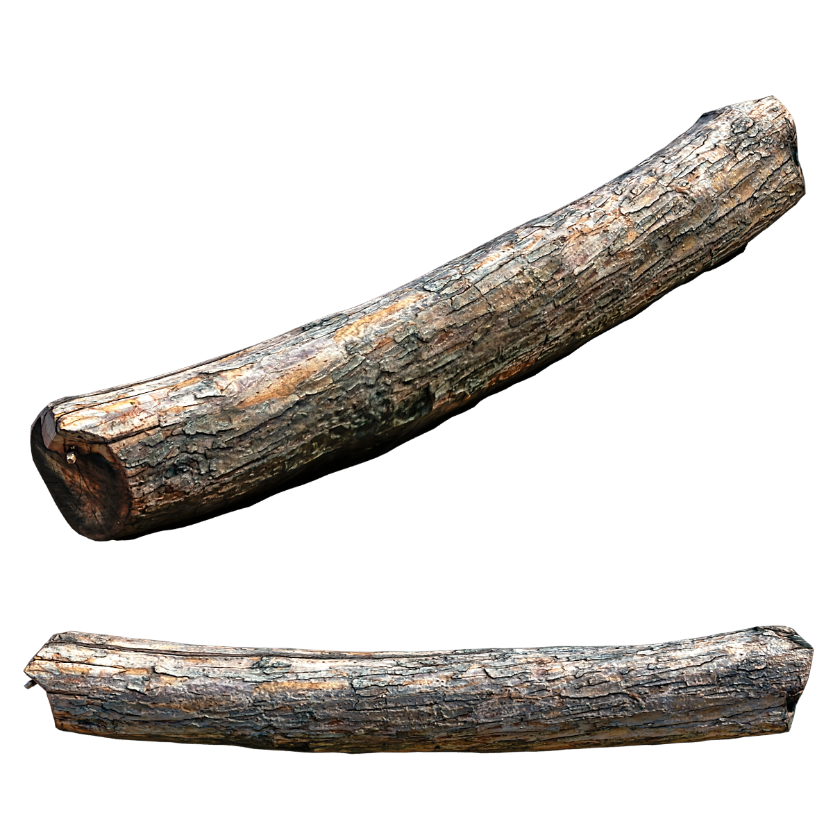 Log photoscan | Trees models | BlenderKit