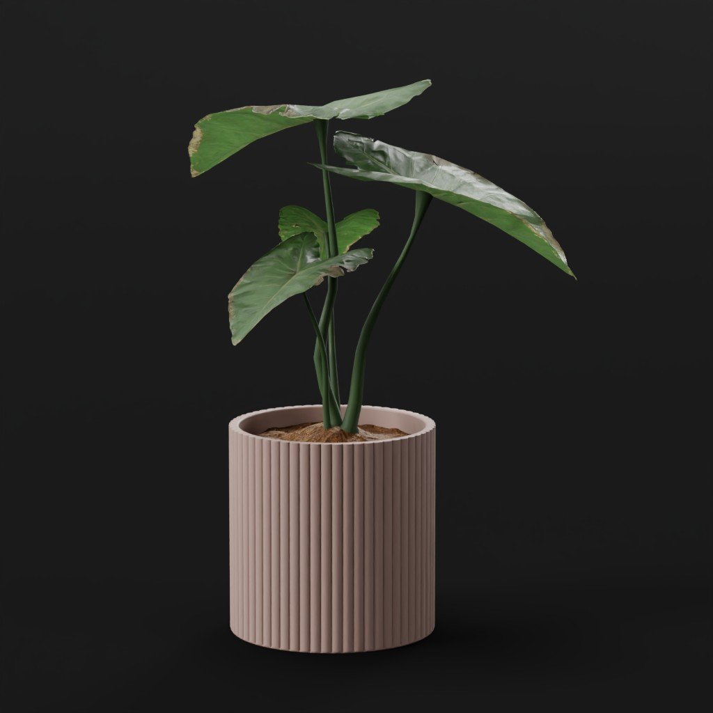 Elephant Ear Taro Sap Potted | Indoor Plants models | BlenderKit