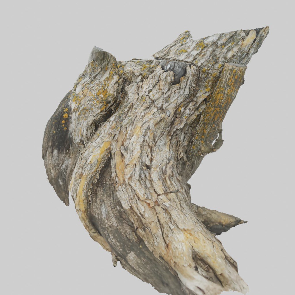 Part of A Tree Trunk | FREE Trees models | BlenderKit