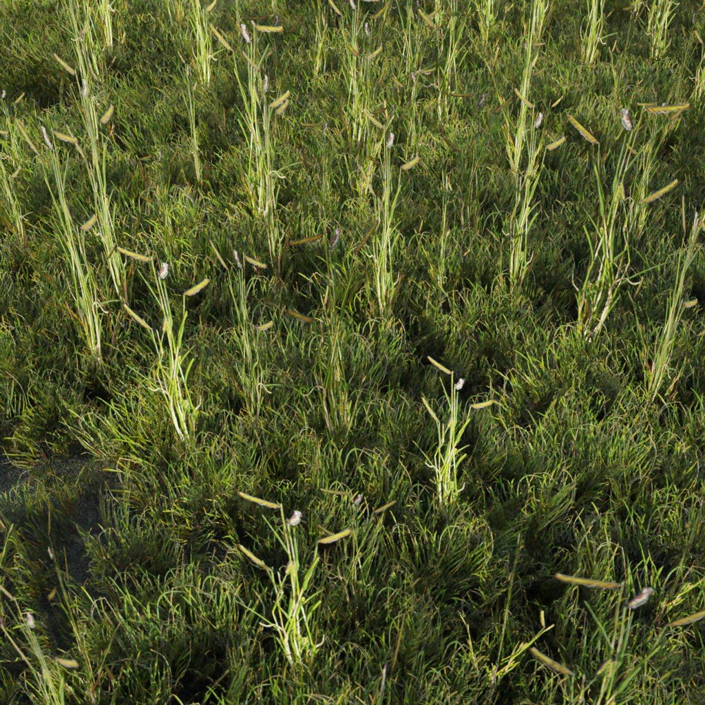 Grass Generic Large Taller | Grass models | BlenderKit