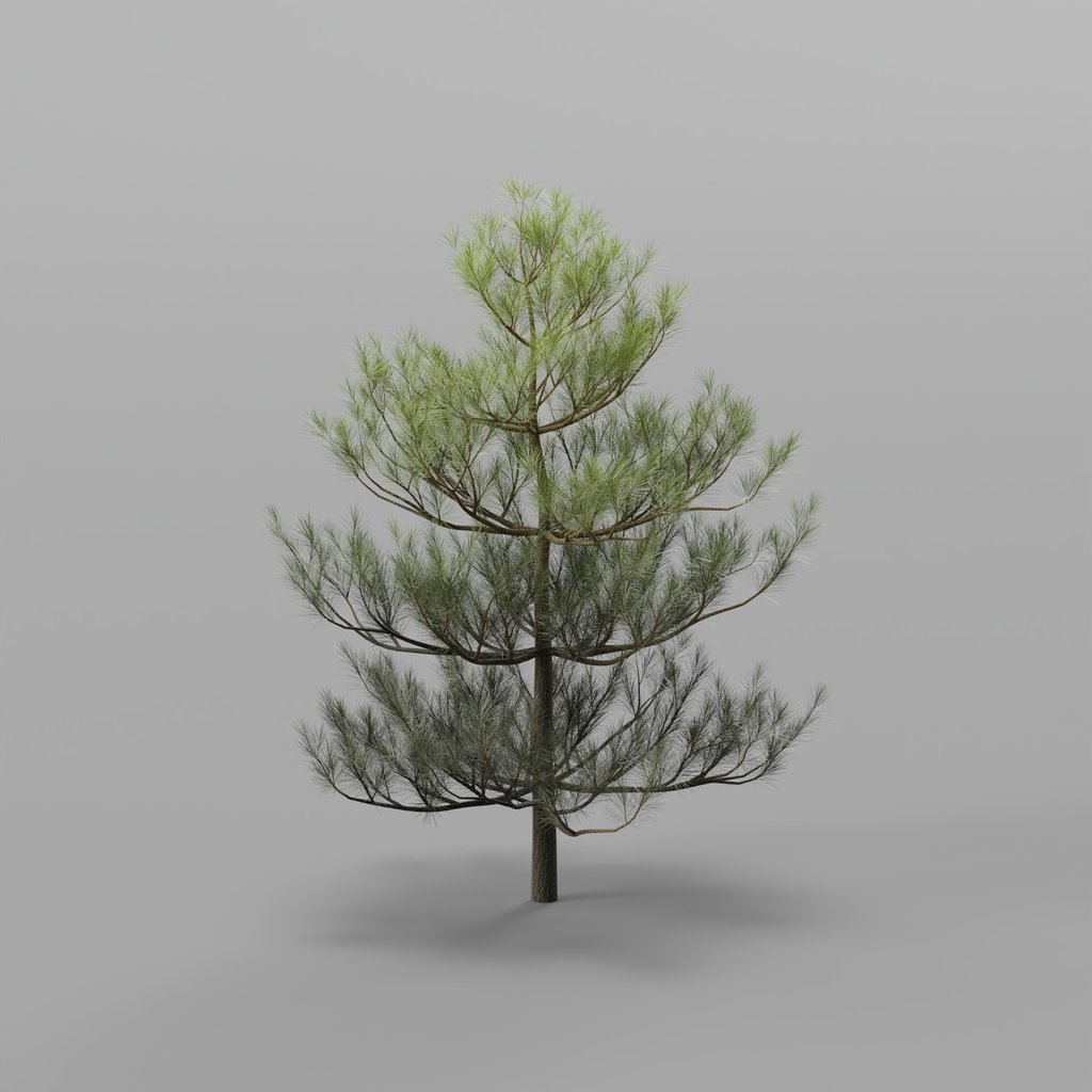 BlenderKit | Download the Realistic 3D Tree model