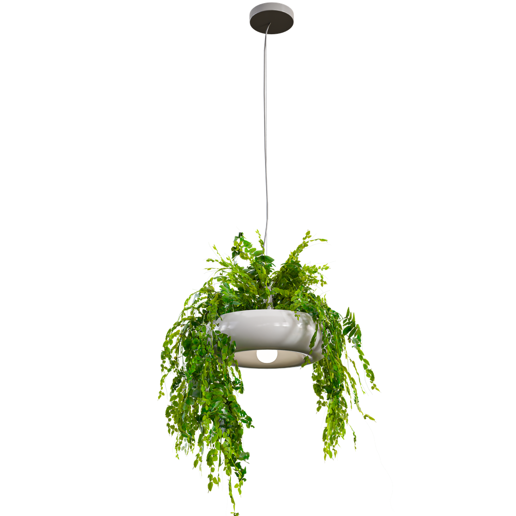 Pendant light with plants c | Ceiling Lights models | BlenderKit