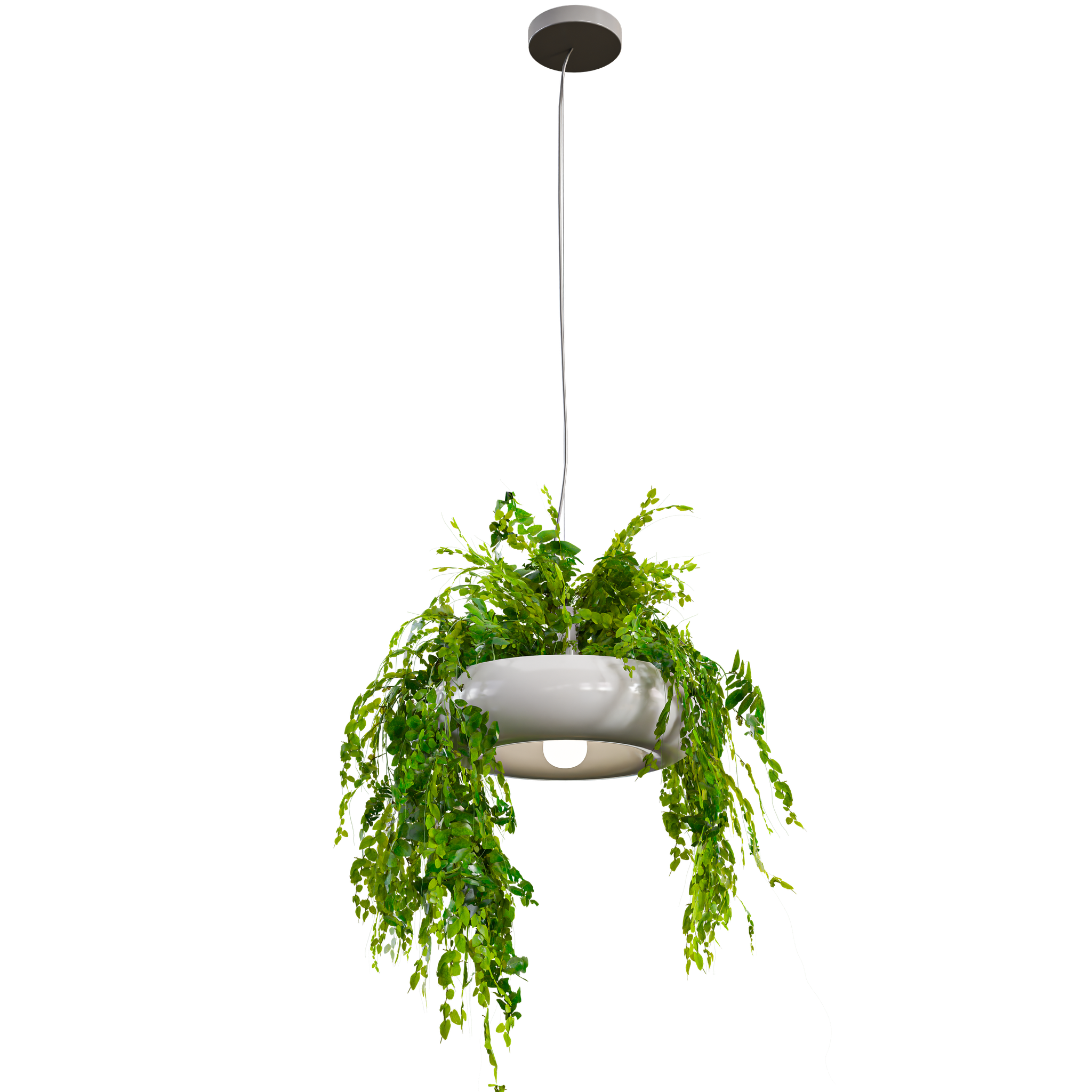 Pendant light with plants c | Ceiling Lights models | BlenderKit