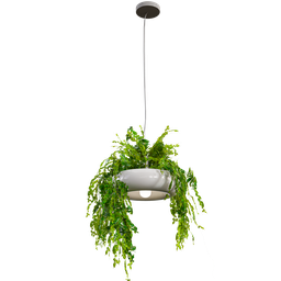 Pendant light with plants c | Ceiling Lights models | BlenderKit