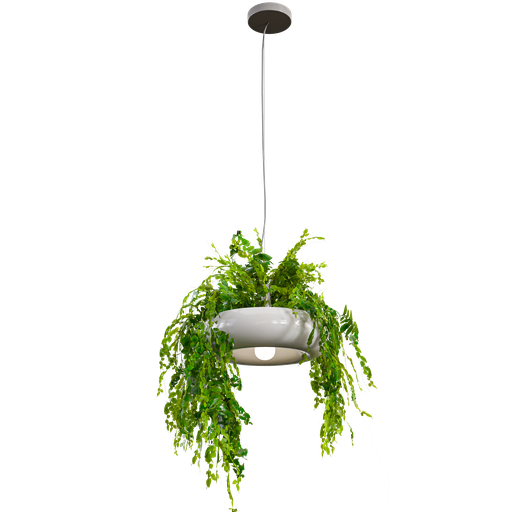 Pendant light with plants c | Ceiling Lights models | BlenderKit