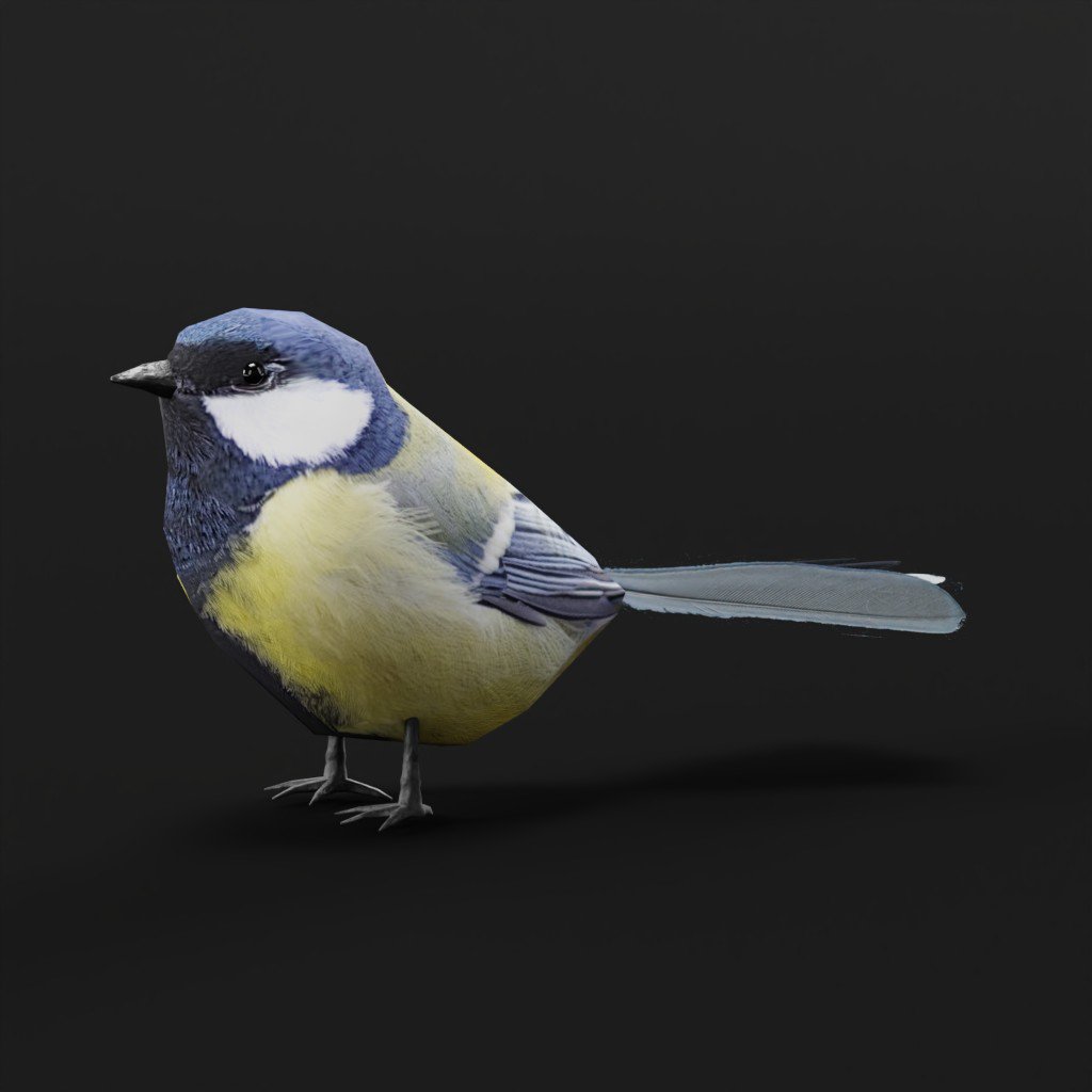 Great tit bird (low poly) | FREE 3D Bird models | BlenderKit