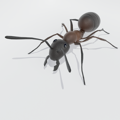 Ant (Rigged) | FREE Insects models | BlenderKit