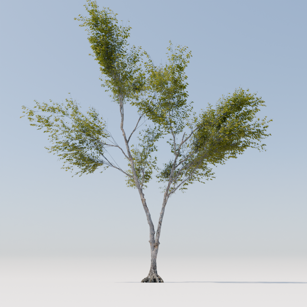 Tree 23 | Trees models | BlenderKit