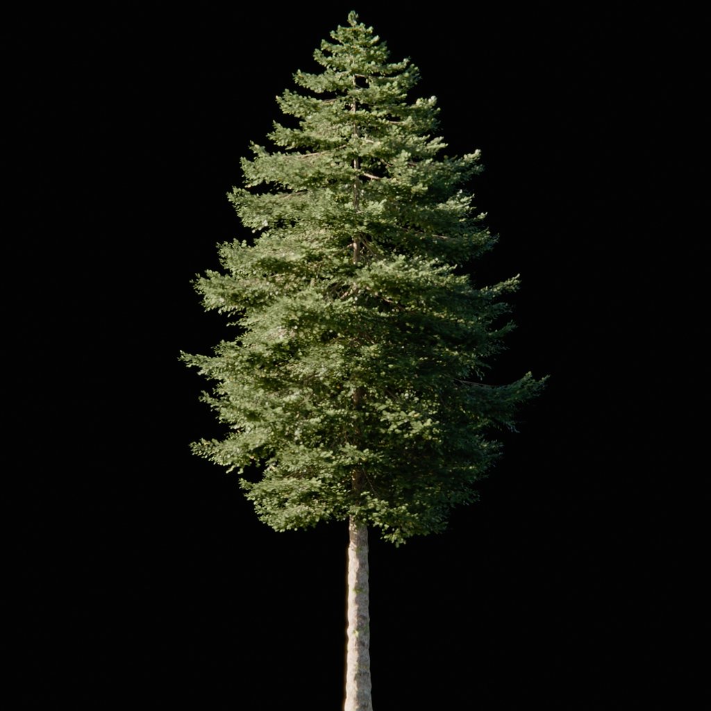A Tree | FREE Trees models | BlenderKit