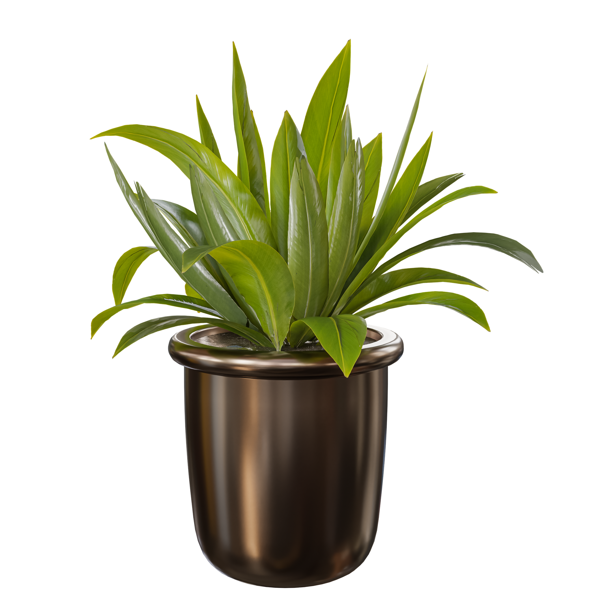 Indoor plant C | Indoor Plants models | BlenderKit