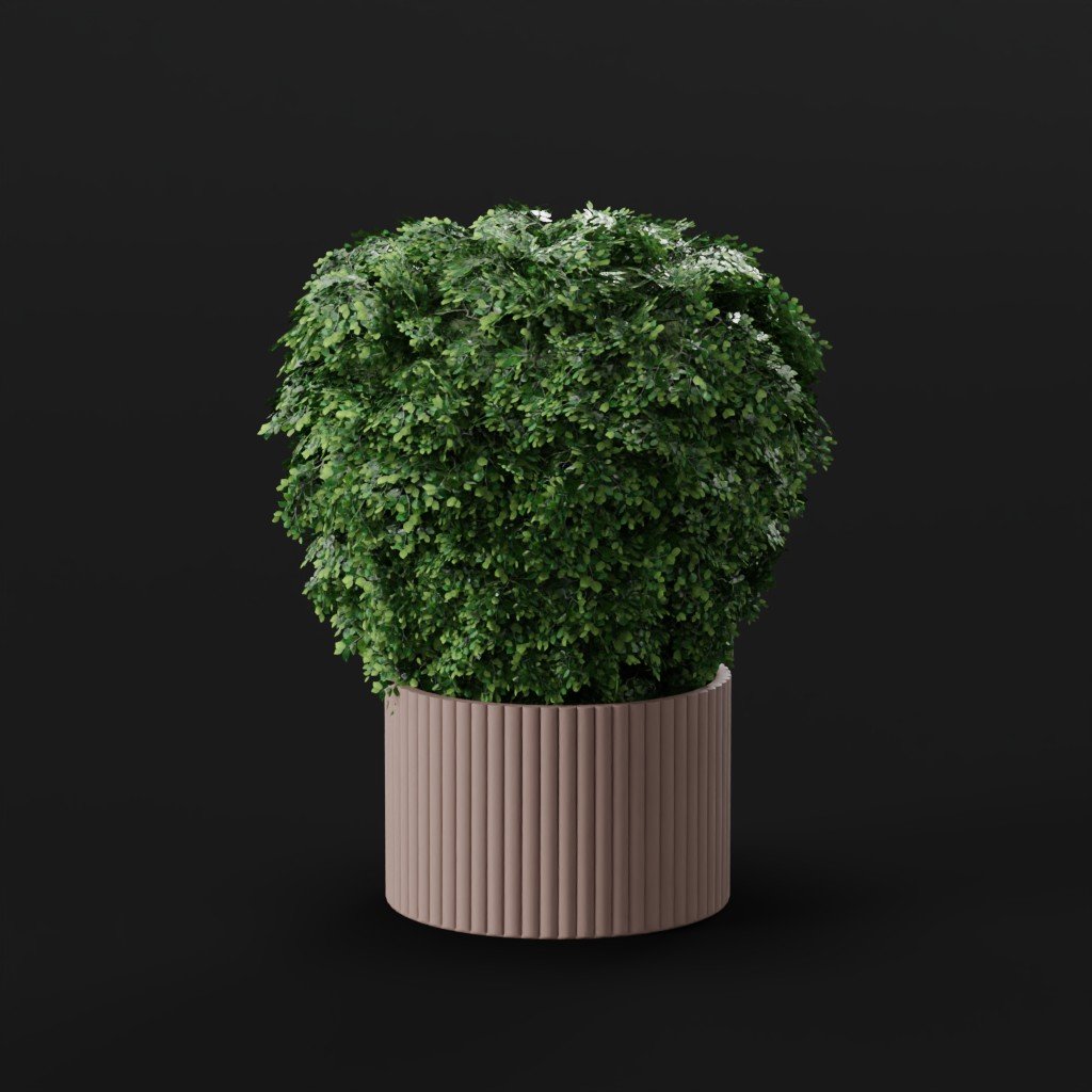 Ficus Bush Potted | Outdoor Plants models | BlenderKit