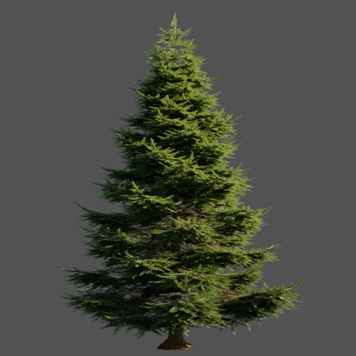 Forest | FREE Trees models | BlenderKit