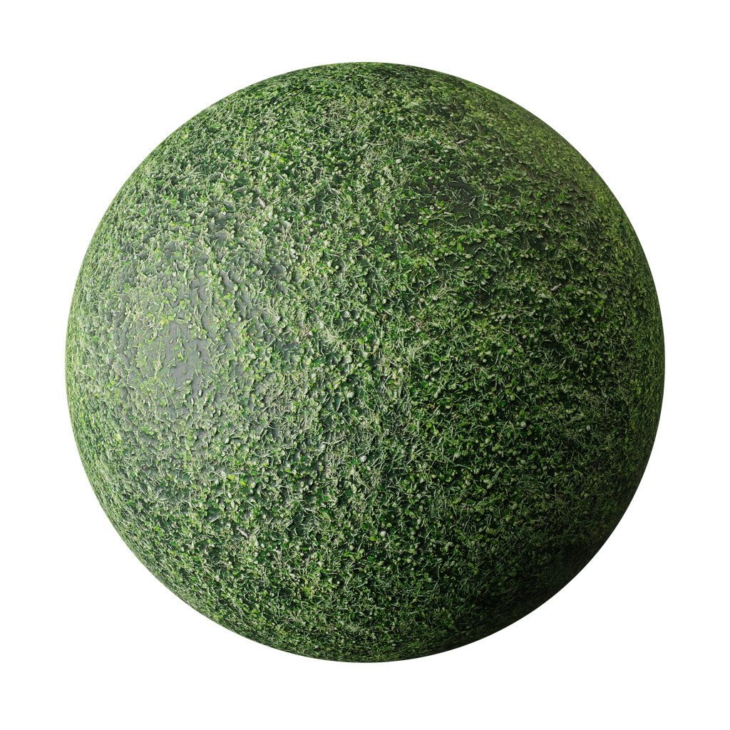 Grass Texture | FREE grass materials | BlenderKit