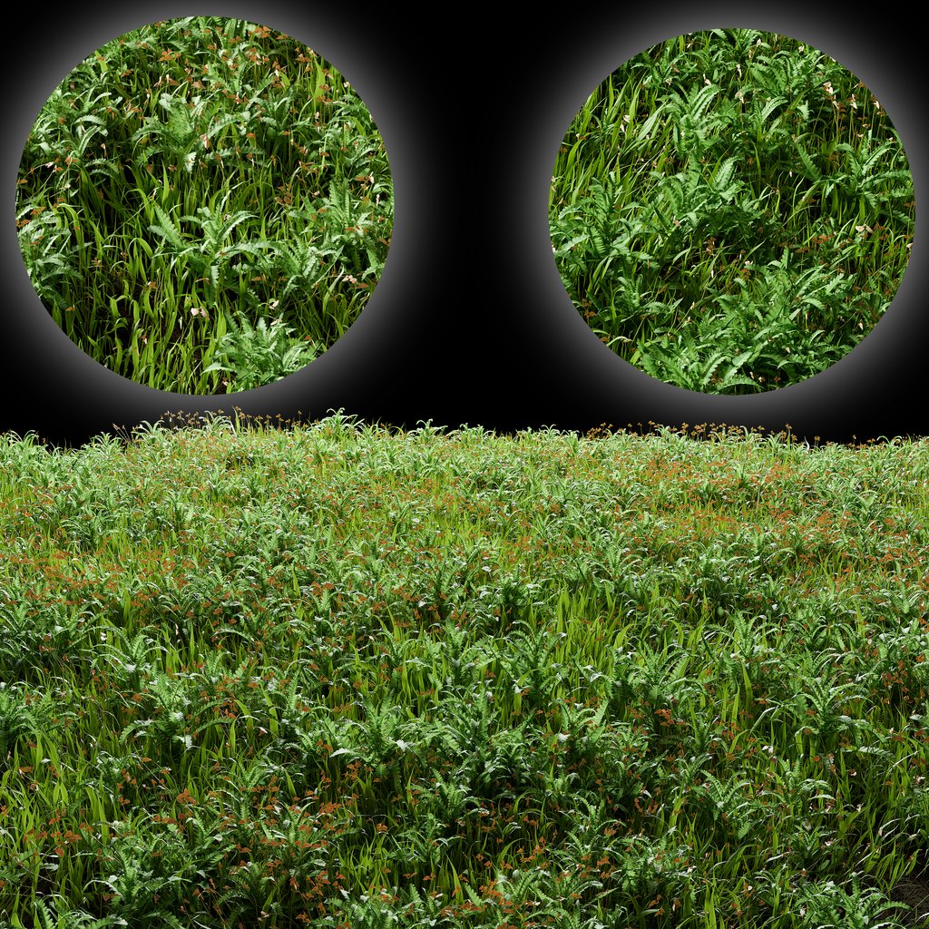 BlenderKit | Download the Grass model