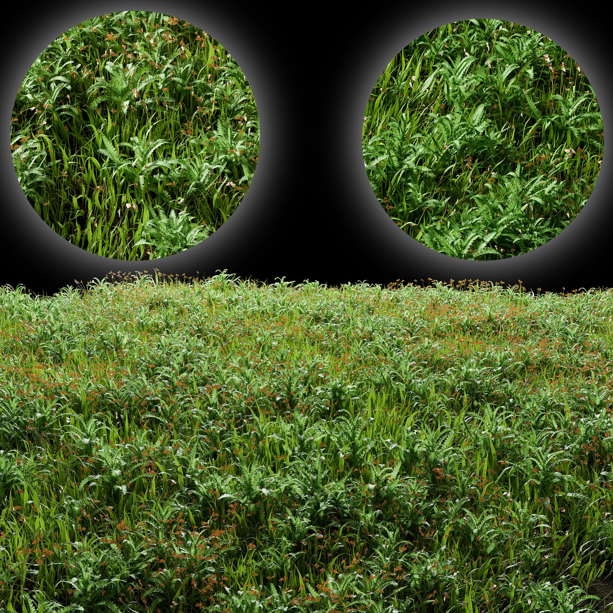 Grass | Grass models | BlenderKit