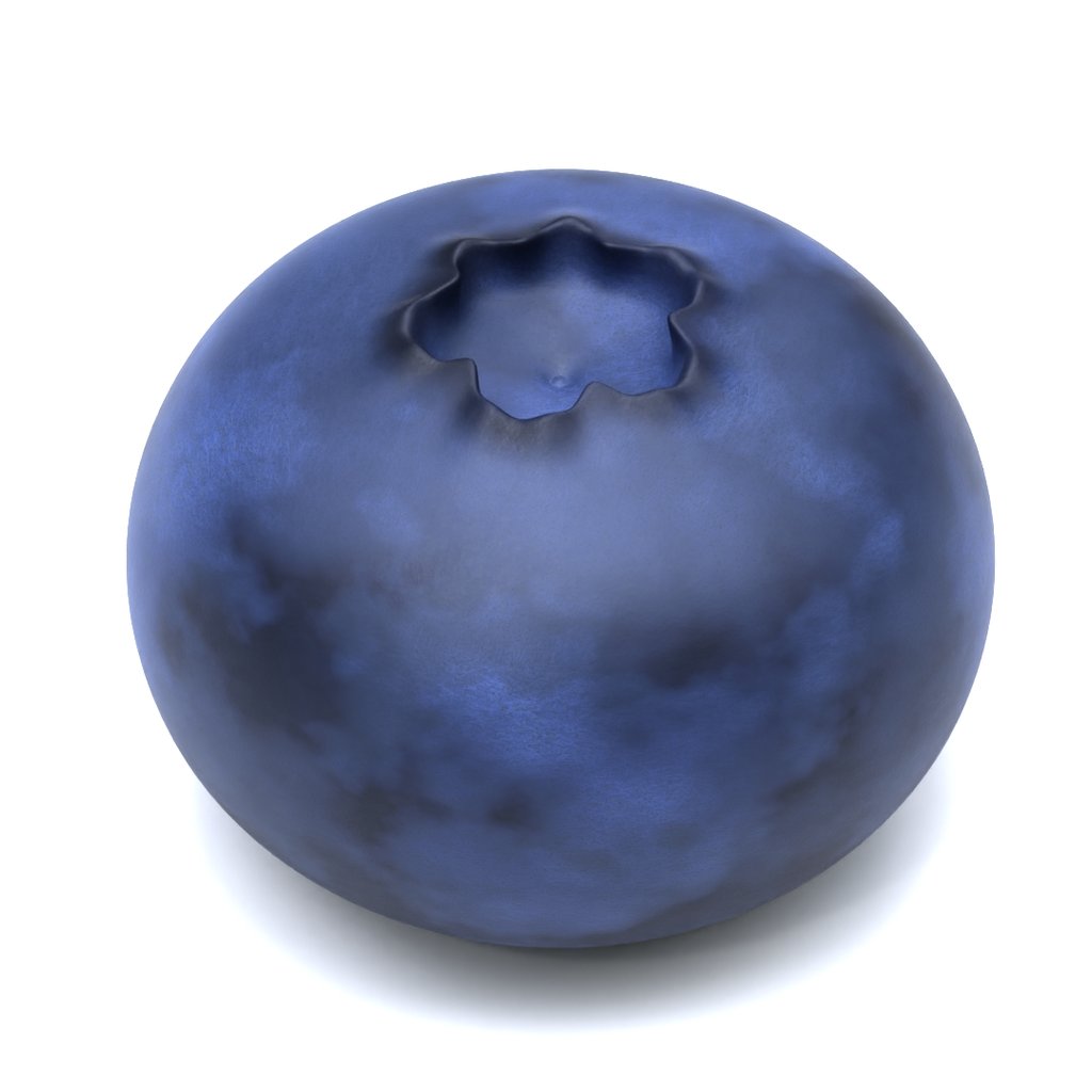 BlenderKit | Download the FREE Blueberry model