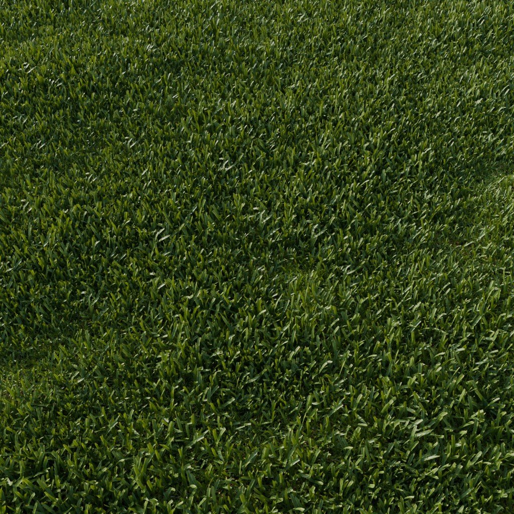 Garden Lawn Grass | Grass models | BlenderKit
