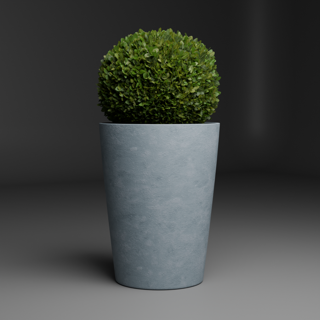 Potted Boxwood Plant | Vases models | BlenderKit