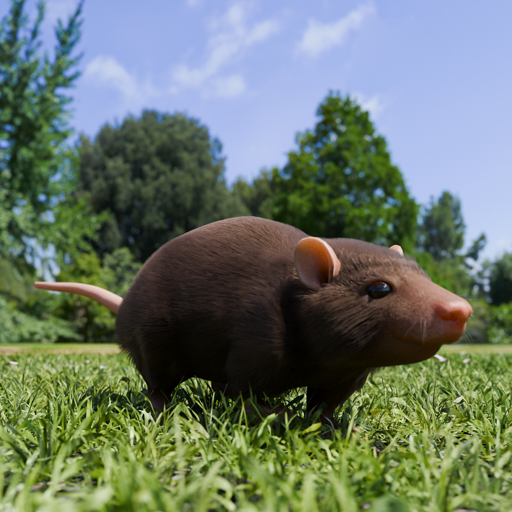 Rat Animated - Running and Standing | Mammals models | BlenderKit