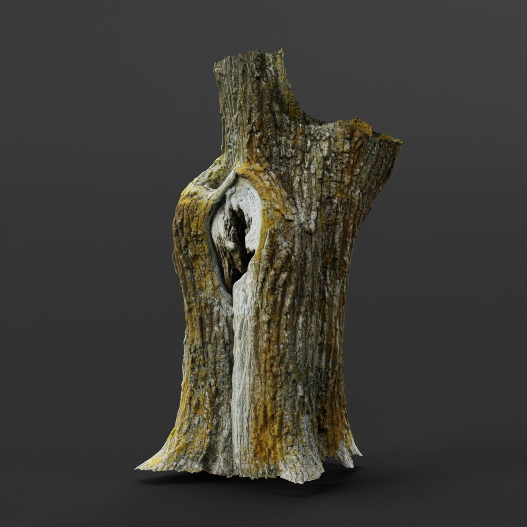 BlenderKit | Download the FREE Large Tree Trunk 02 model