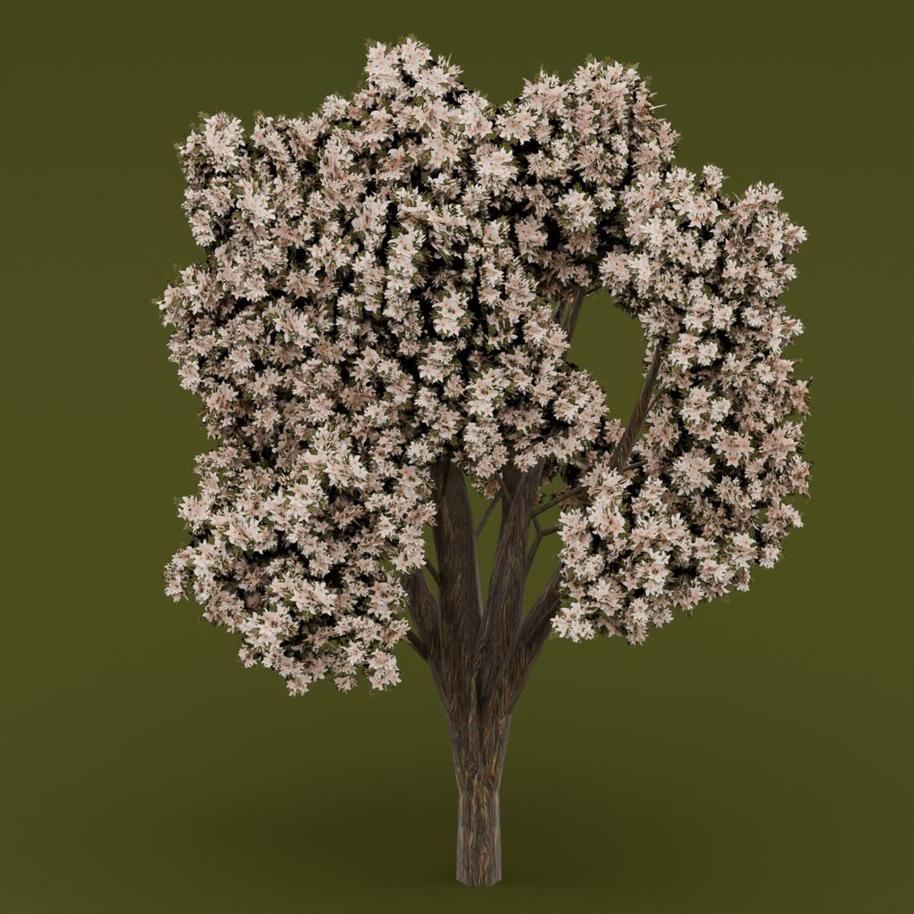 BlenderKit | Download the White flowered-light green leaved tree model