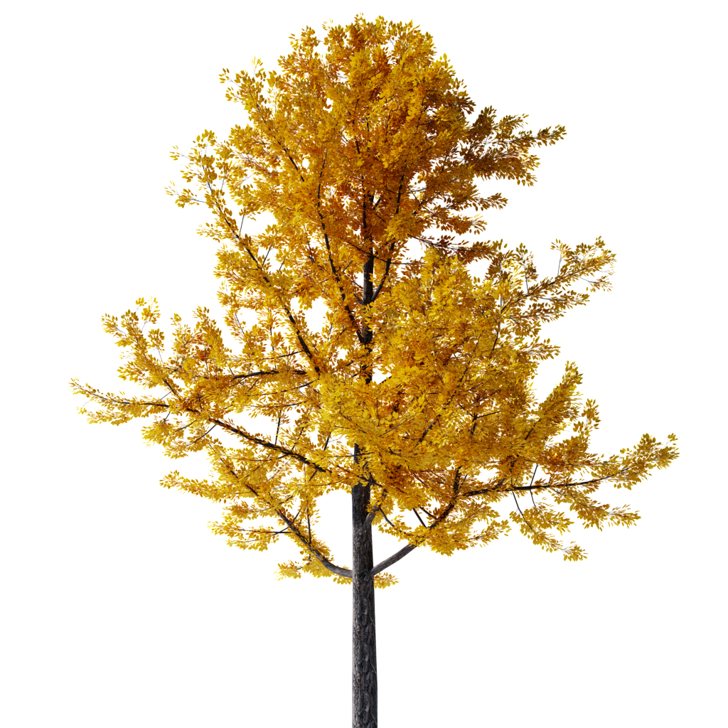 Gimko Tree Autumn | Trees models | BlenderKit