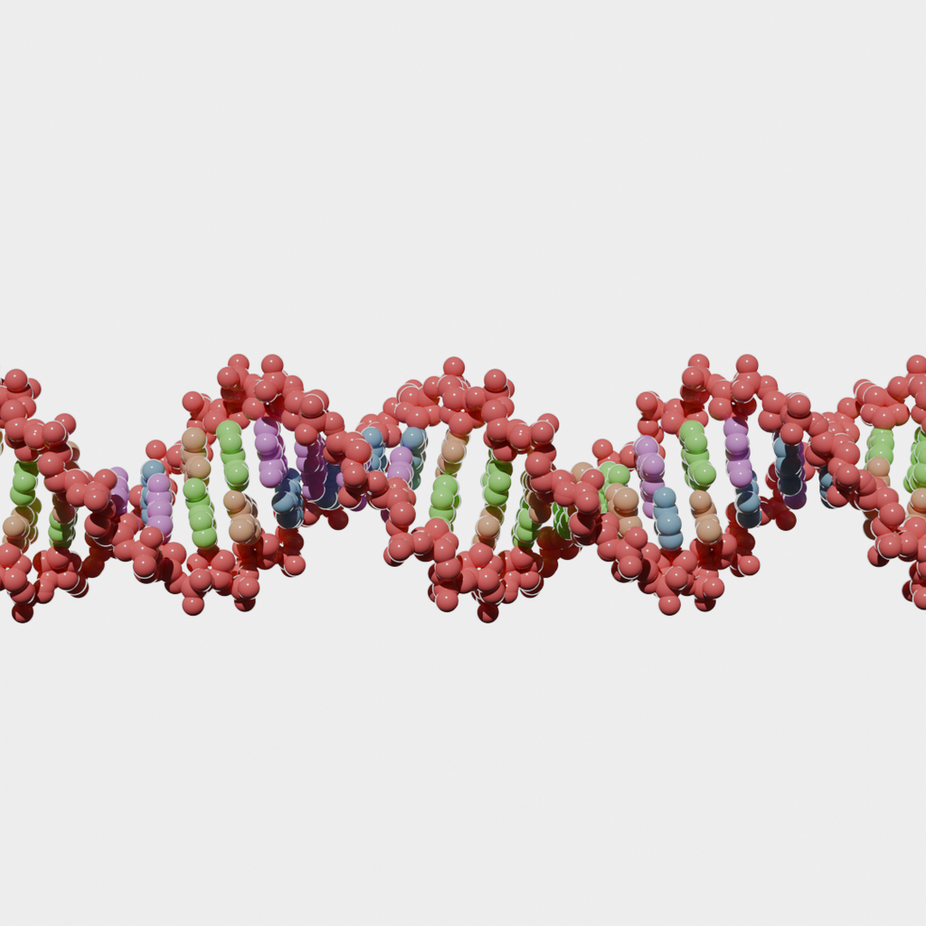 Dna | Microbiology models | BlenderKit