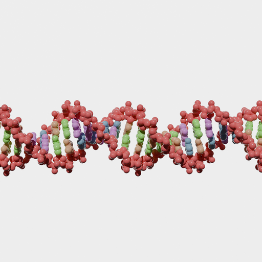 Dna | Microbiology models | BlenderKit