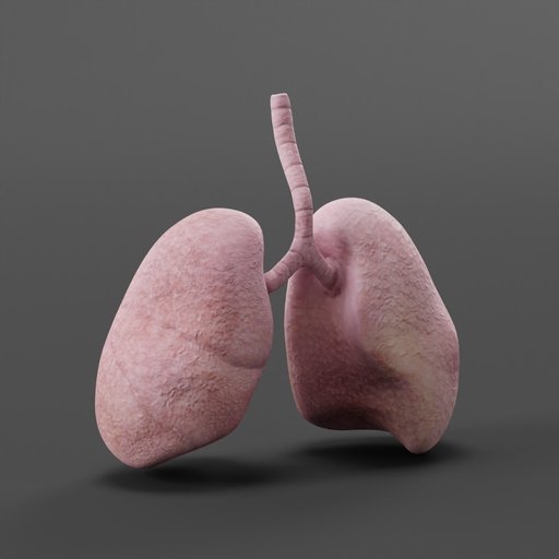 Stylized Human Lungs | FREE Internal Organs models | BlenderKit