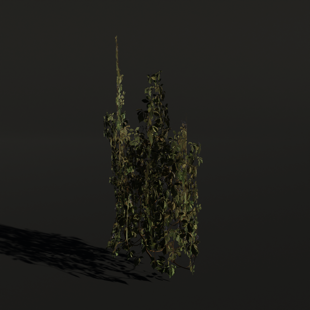 Creepers Vine b4 | Trees models | BlenderKit