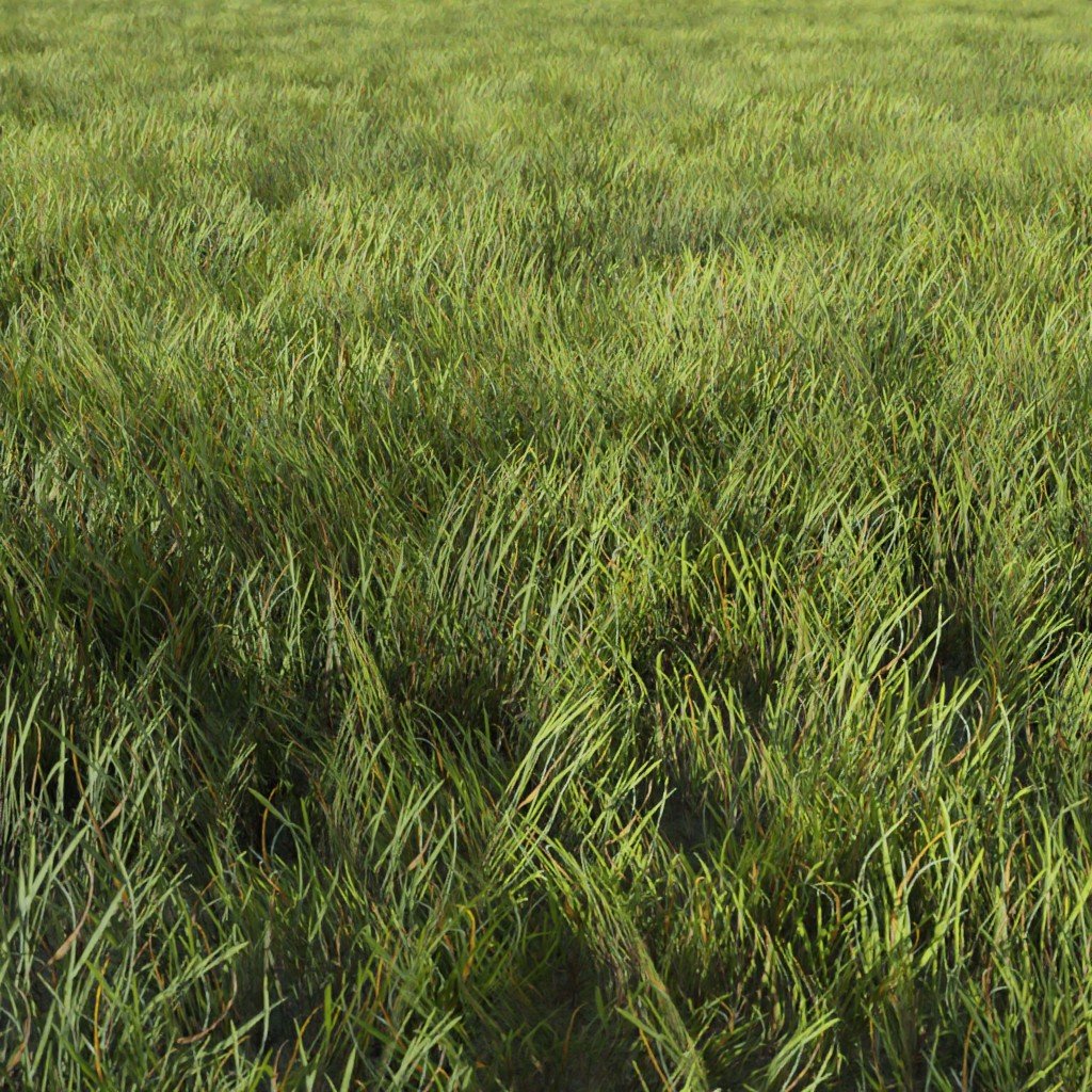 Grass Generic Small Dense | Grass models | BlenderKit