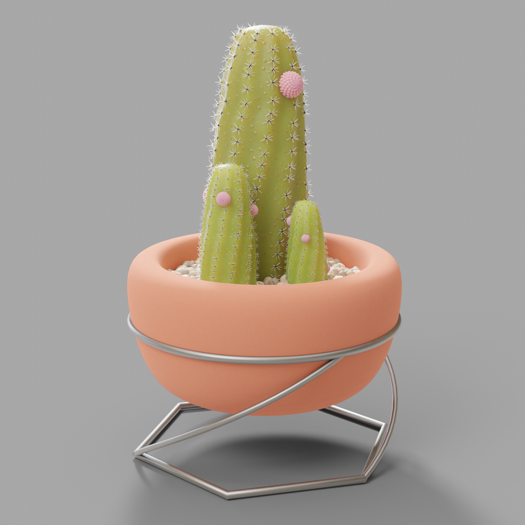 Procedural cactus | FREE Indoor Plants models | BlenderKit