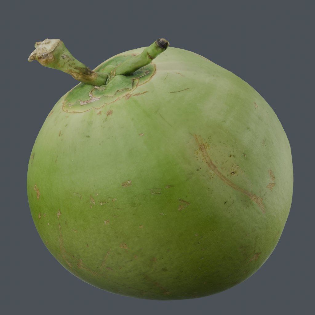 Coconut | Fruit & Vegetables models | BlenderKit