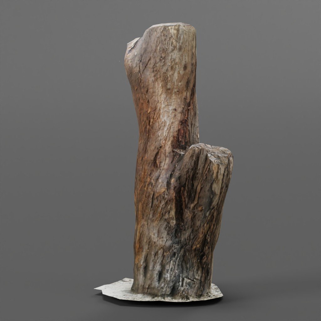Scanned Trunk | Trees models | BlenderKit