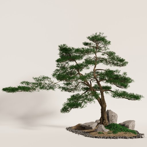 Buddhist Pine Harmony | Trees models | BlenderKit