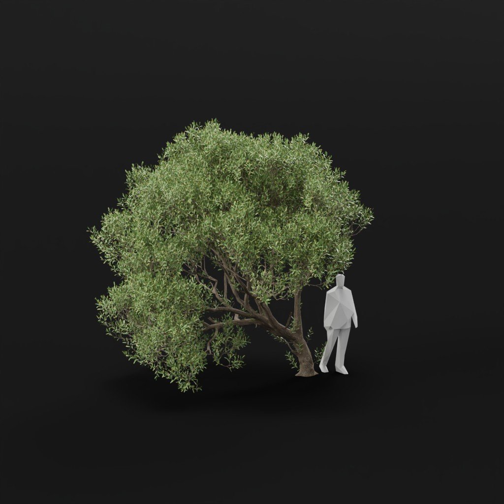 Olive Tree Bent Adult | Trees models | BlenderKit
