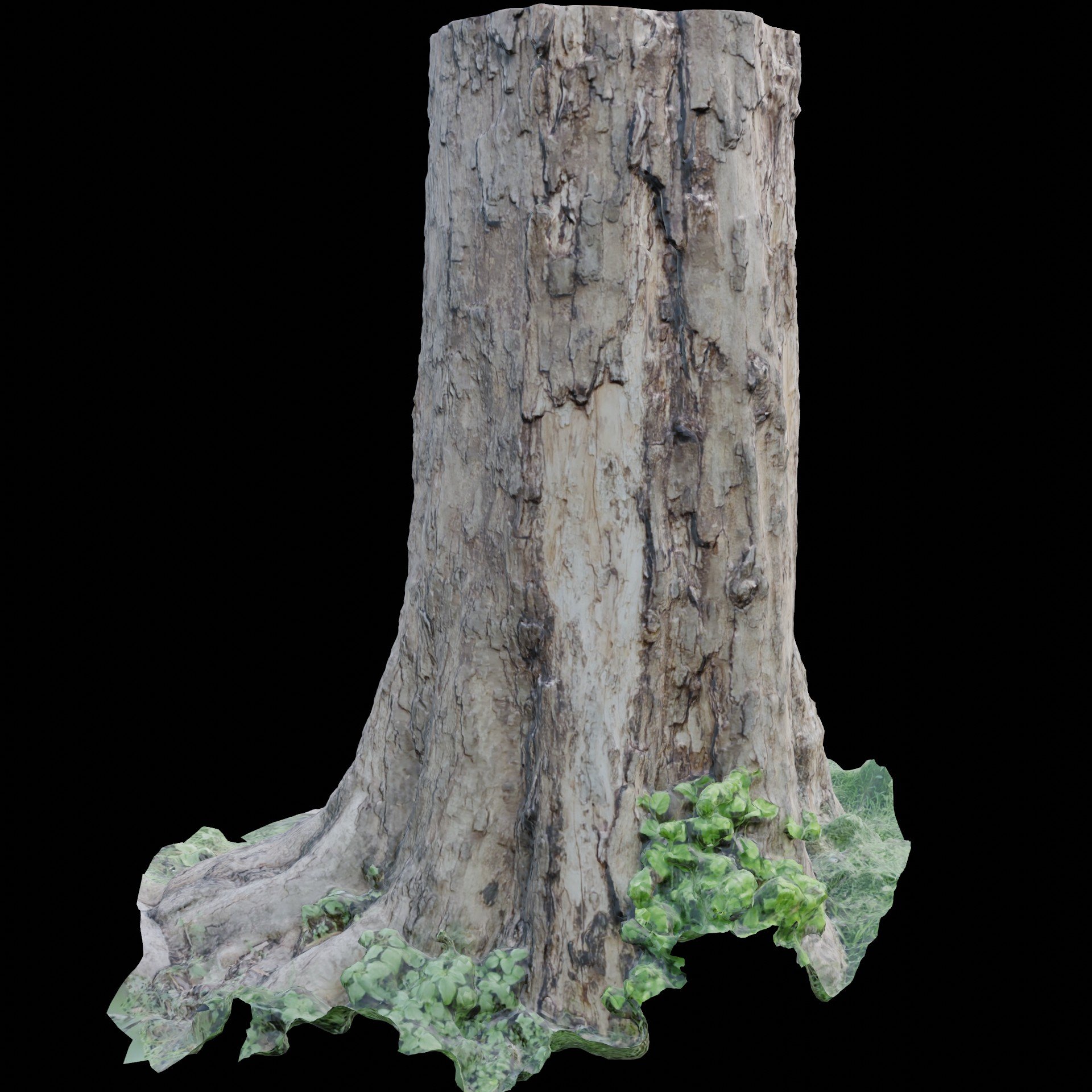 Scan Tree | FREE Trees models | BlenderKit