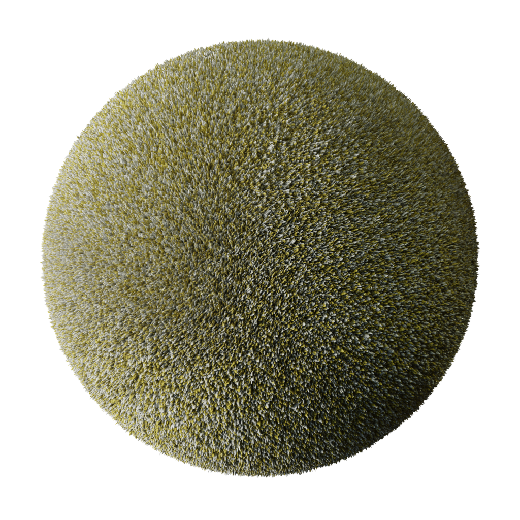 Yellow Carpet | FREE food materials | BlenderKit