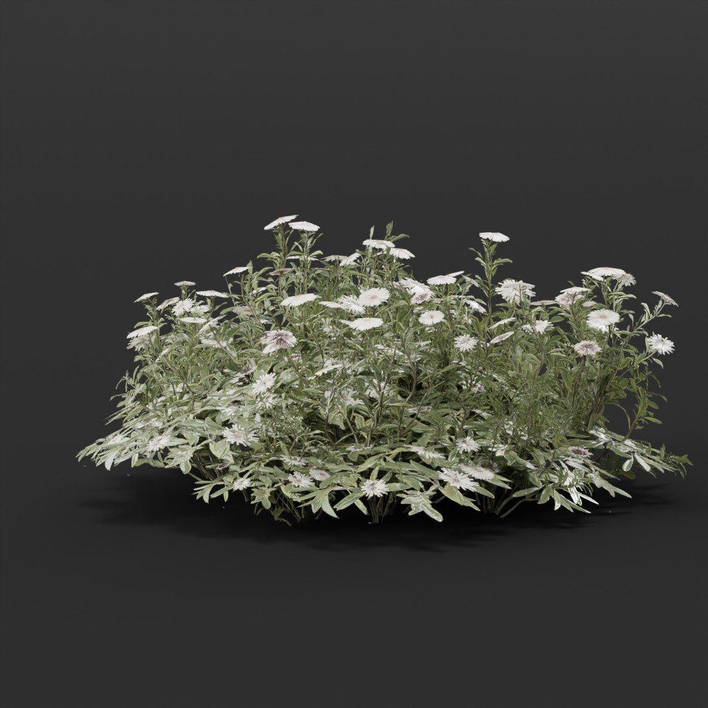 Flower Aster Small Wide | Outdoor Plants models | BlenderKit