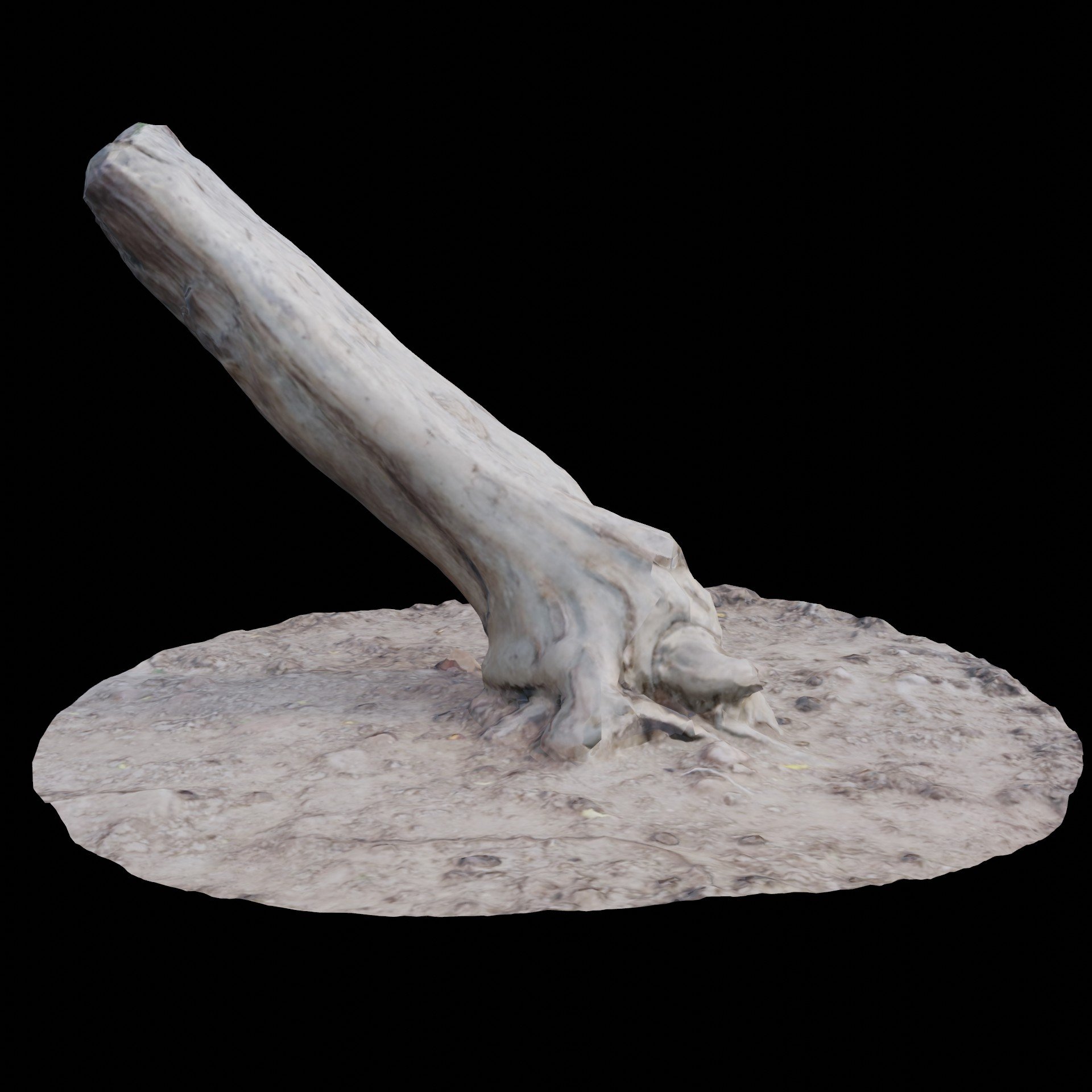 Scan trunk | FREE Trees models | BlenderKit