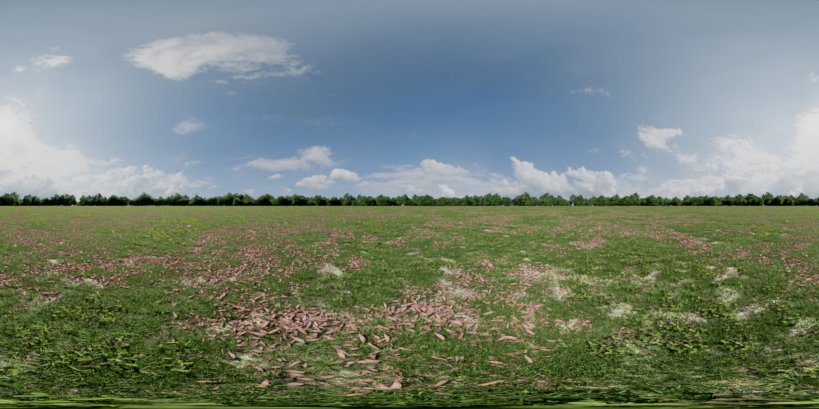 Open Field Day | Nature HDRis | BlenderKit
