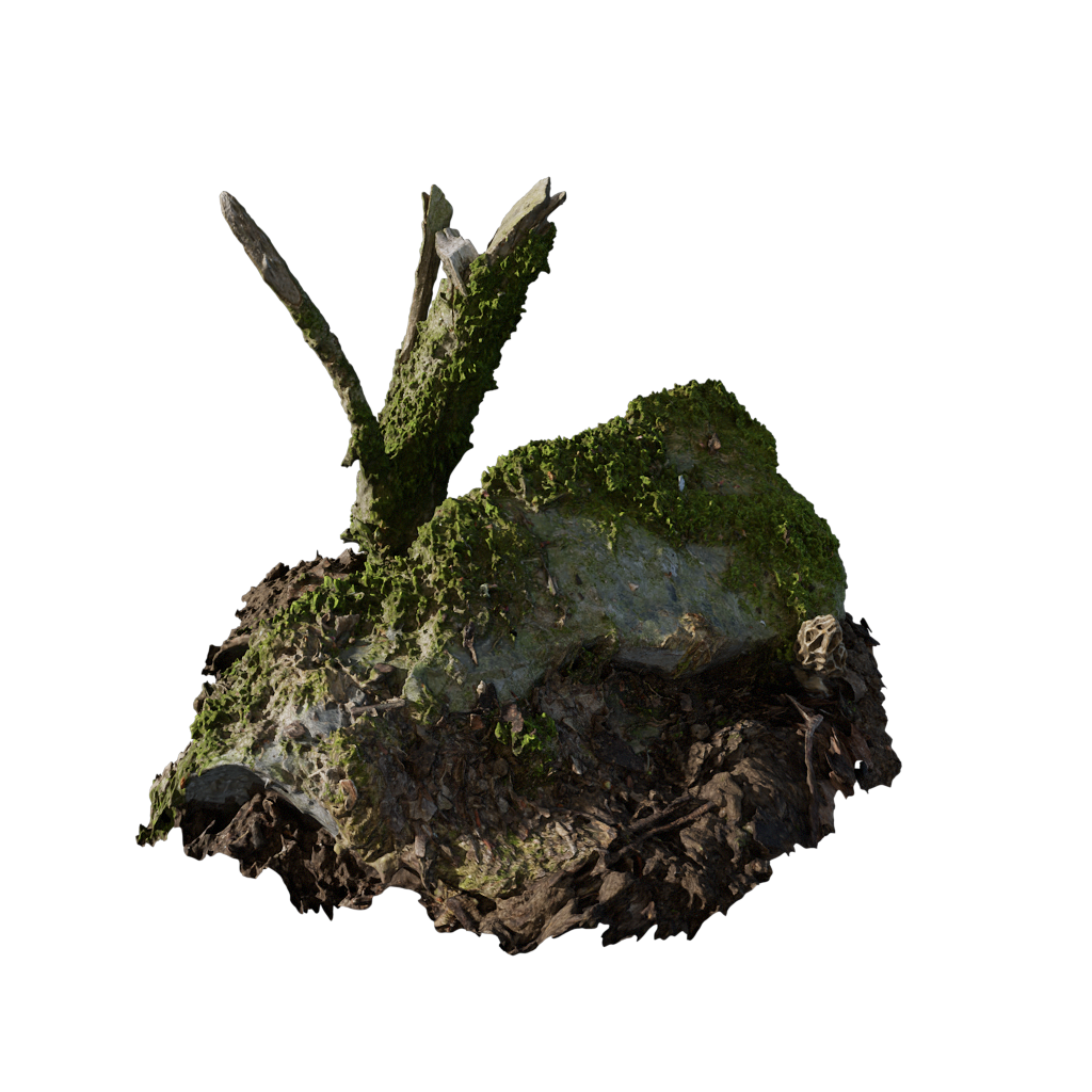 PX Stone stump | FREE Trees models | BlenderKit