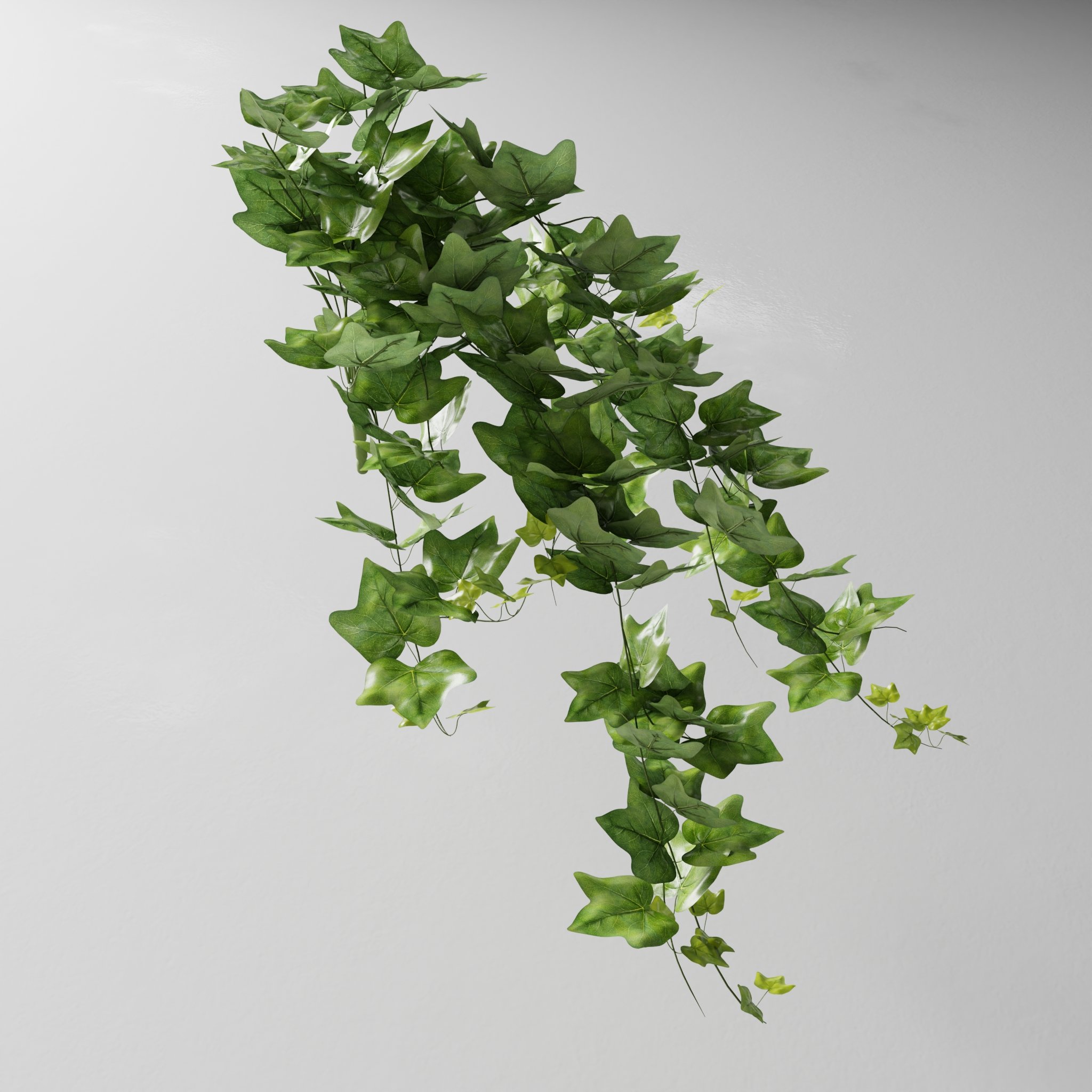 Artificial tendril Ivy v2 | Indoor Plants models | BlenderKit