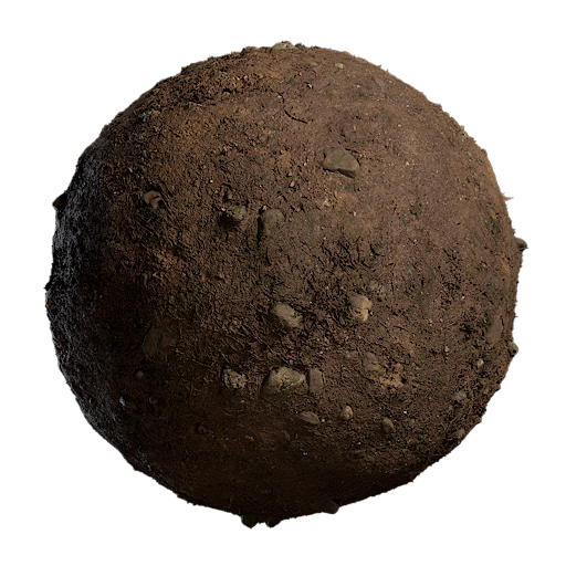 Forest Ground | FREE ground materials | BlenderKit